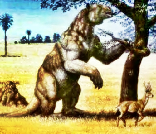 Dinosaurios animales prehistoricos: Perezoso Gigante, Megaterio ( Gran ...