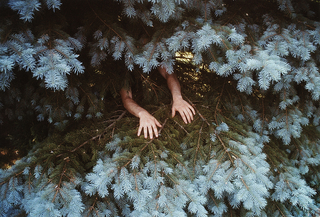 Appendage: Alison Scarpulla - Photography