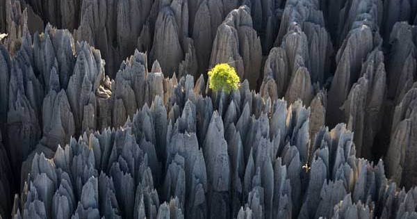 Suitcase and World: Madagascar's Stone Forest. Tsingy de Bemaraha.