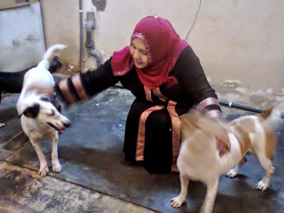 Islam: Hukum Anjing Dan Babi Mengikut Syarak