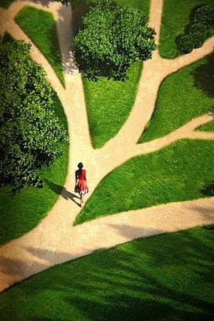 Musing,Daily or when ever: February 2011