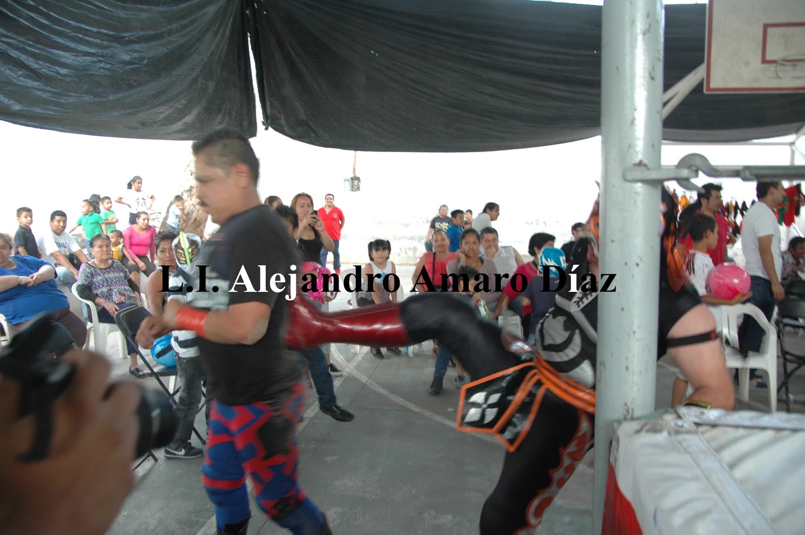 ESTRELLAS DEL RING.: Lucha mixta