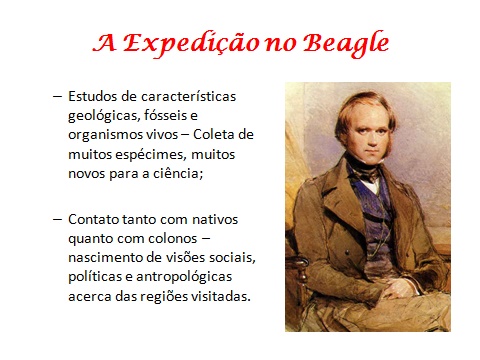 E.E.Profa. Castinauta de Barros Mello e Albuquerque - Onde a internet ...