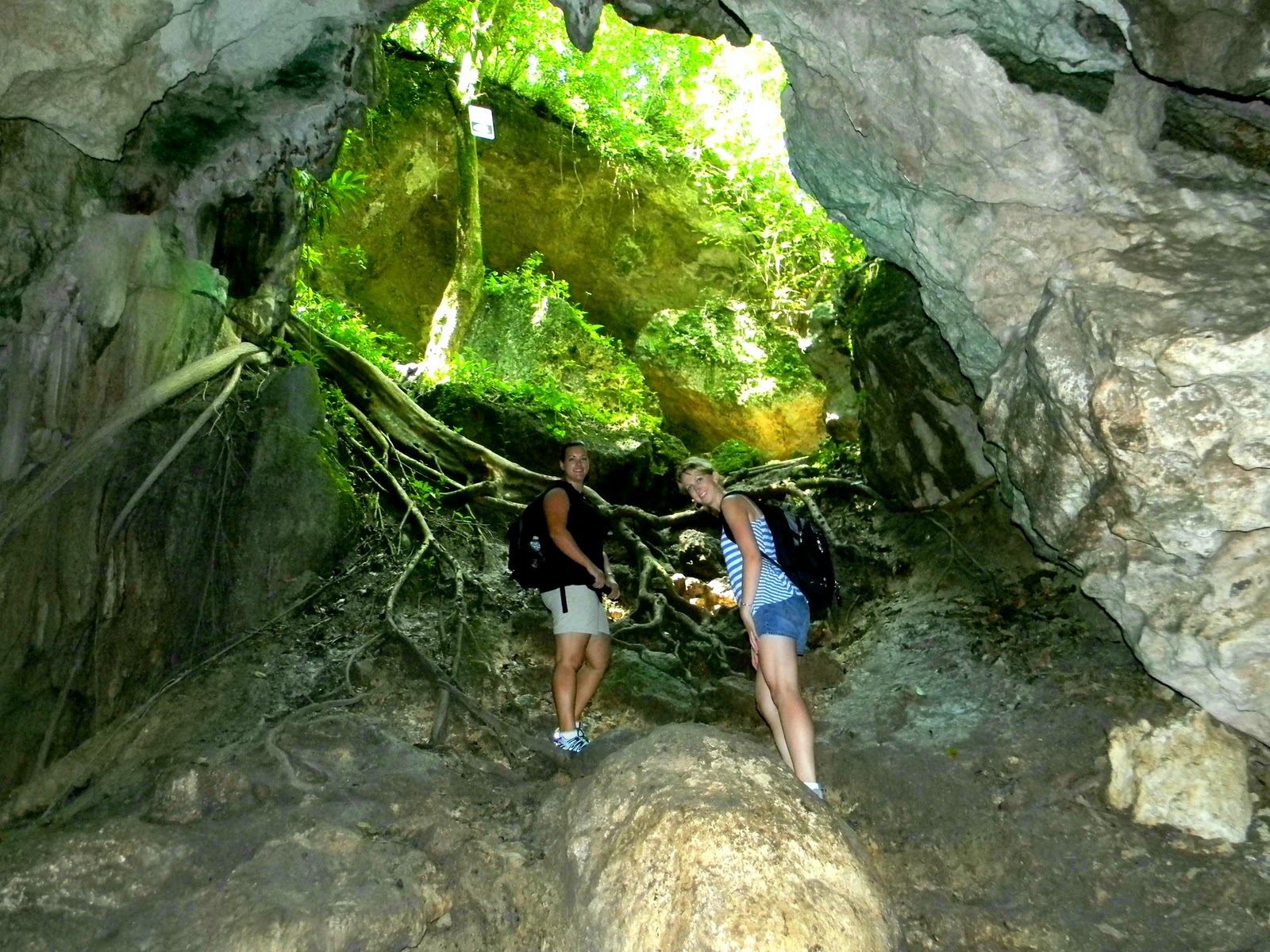 Bat Cave Puerto Rico at Joseph Florence blog