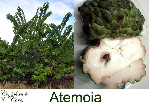 Cozinhando Cores: Atemoia