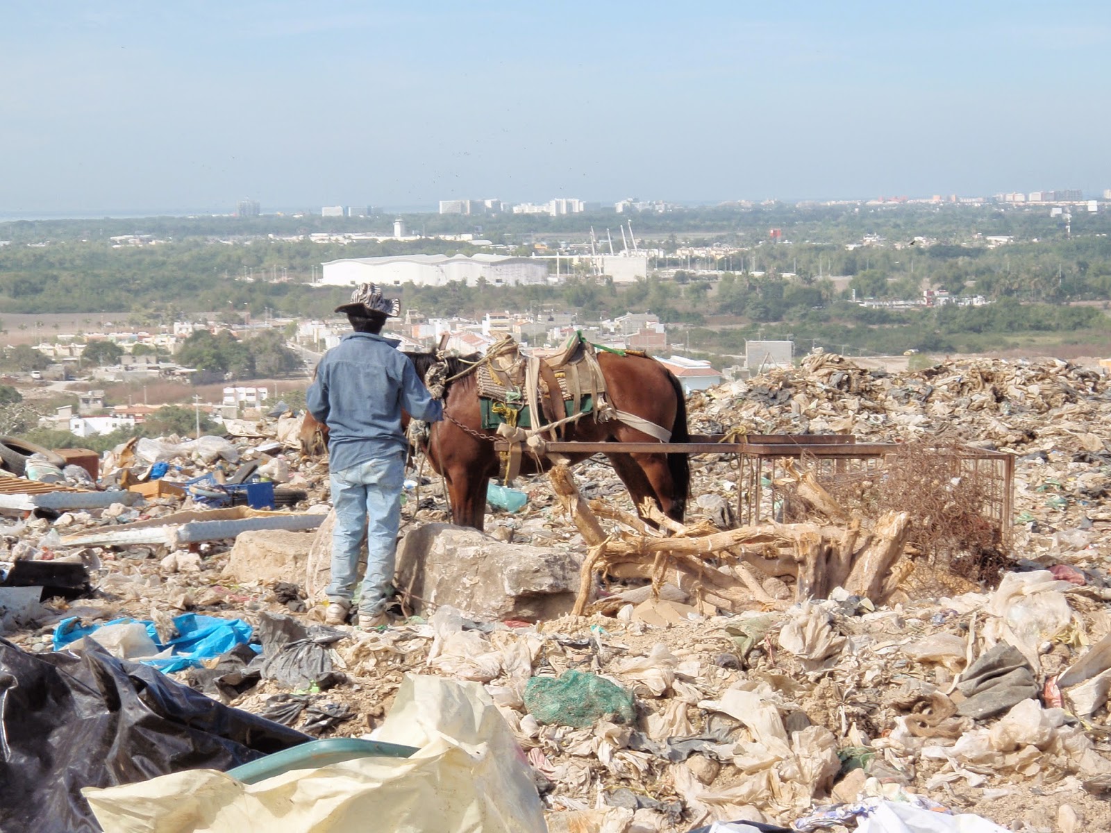 Murder is Everywhere: The dump