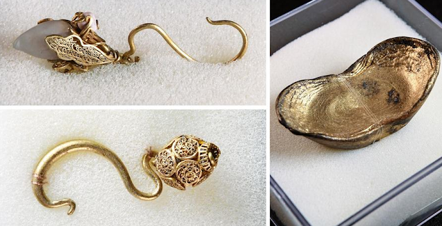 The Treasure Beaches Report Direct From Florida's Treasure Coast.: 3/21 ...