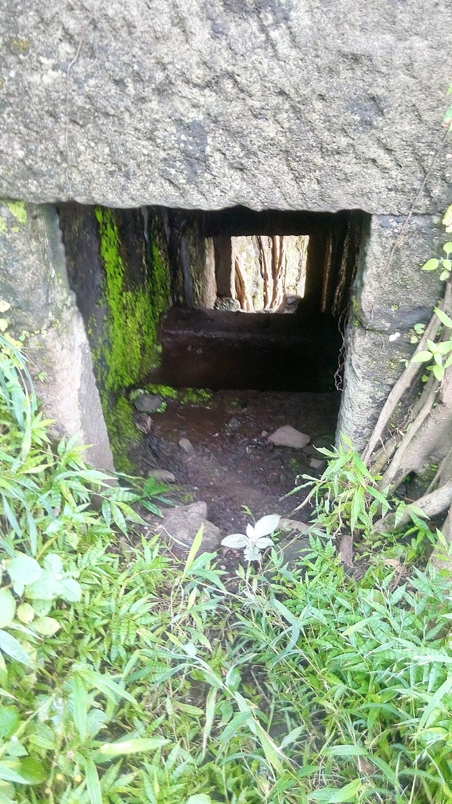 Ghosalgad Fort located near Roha in Raigad District in Maharashtra ...