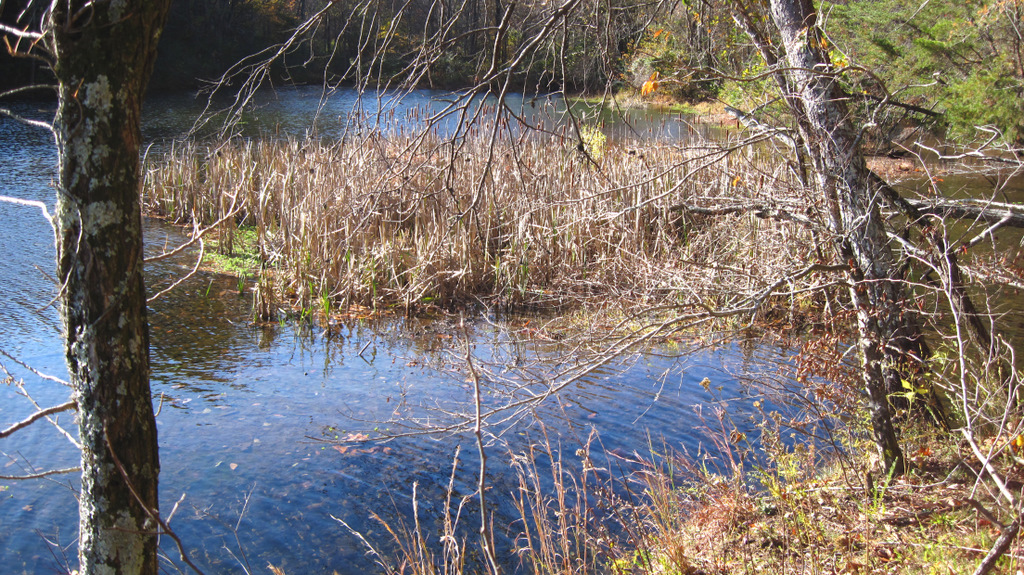Gary's Outdoor Wanderings2: SCONA LODGE - A Lost Treasure