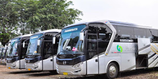 PO BUS City Trans Utama