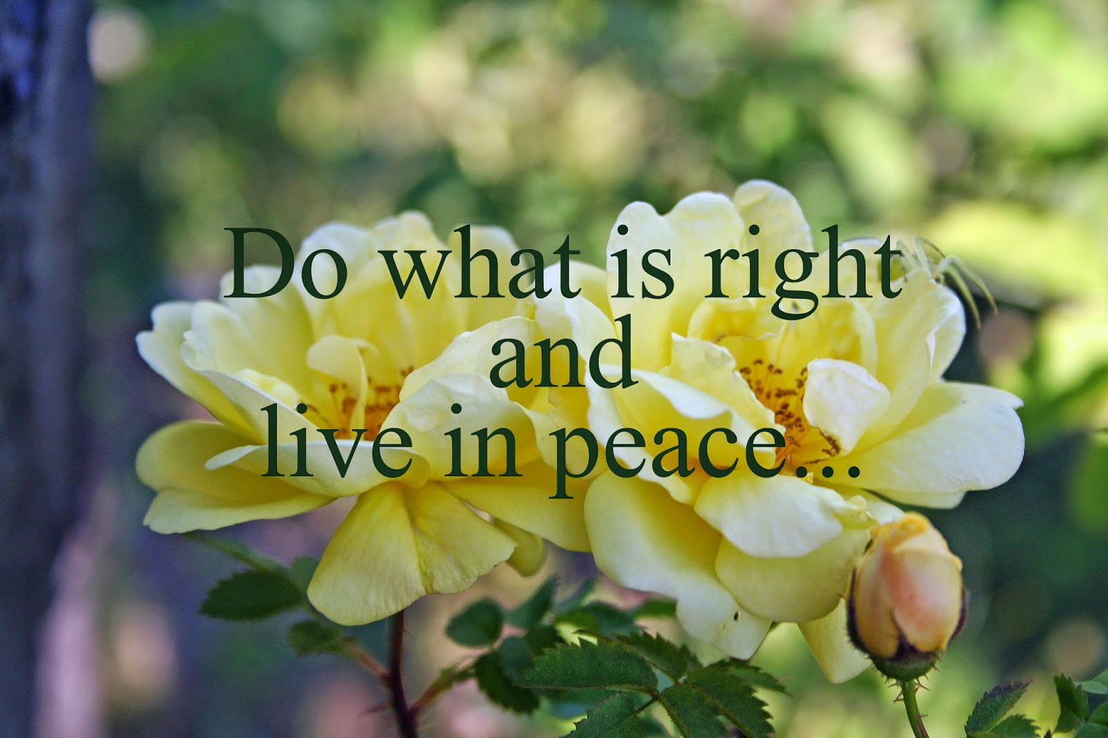 Live Life Do Good Do What Is Right live-life-do-good-do-what-is-right