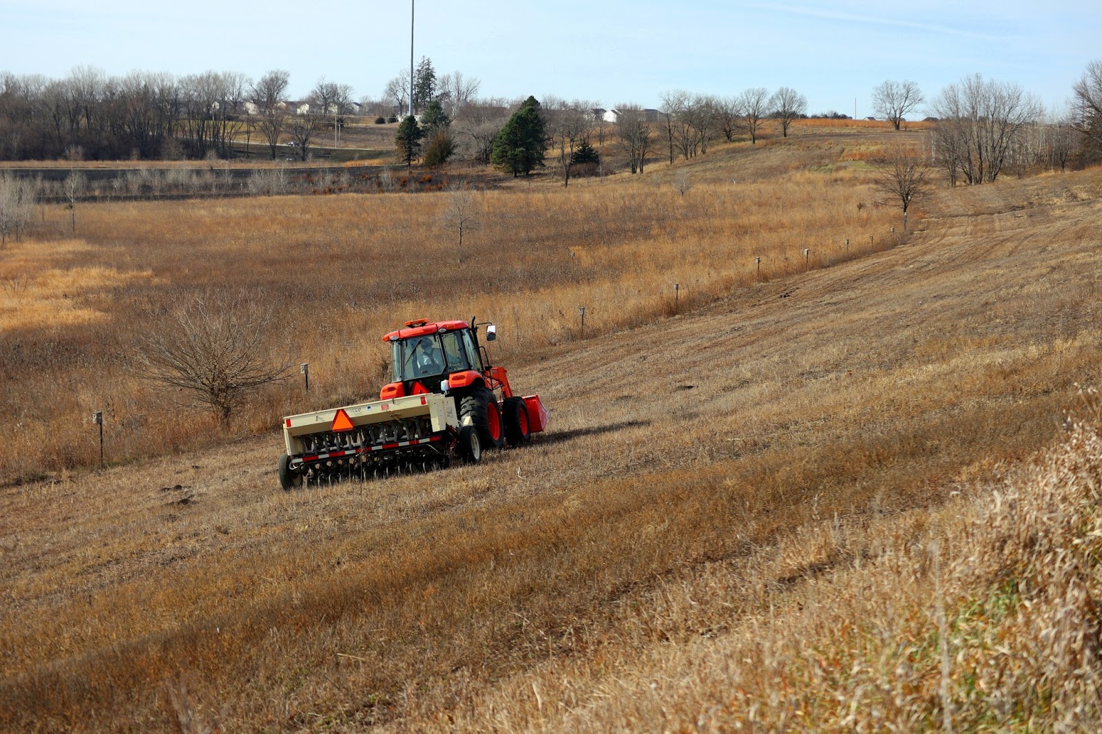 Reflections: Ada Hayden Heritage Park: Nov 28, 2017: Prairie Restoration