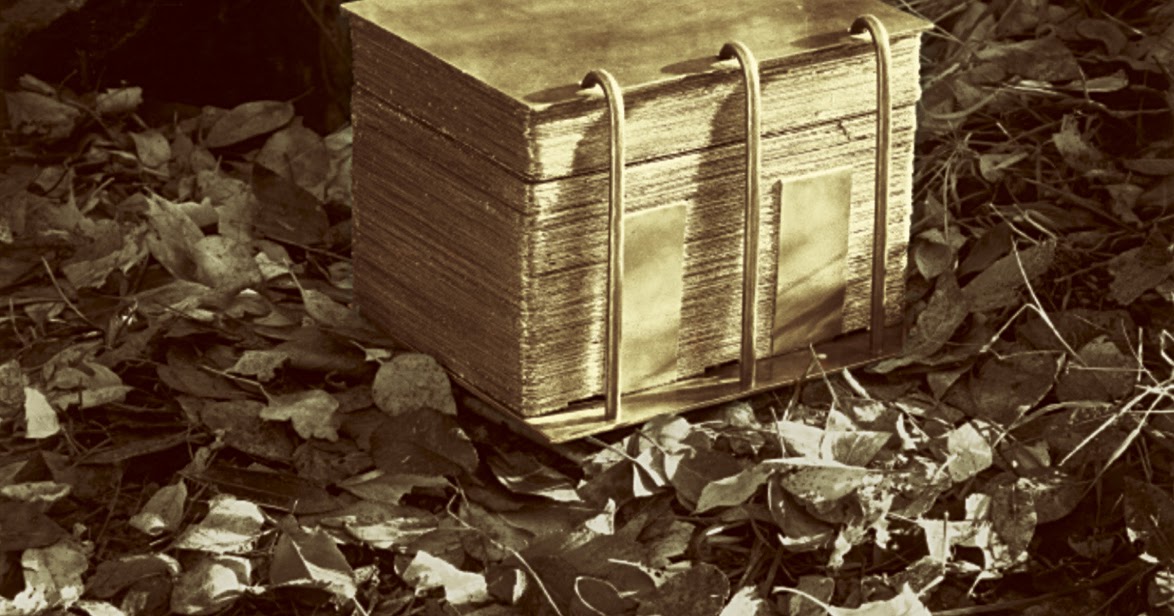 Book of Mormon Evidence