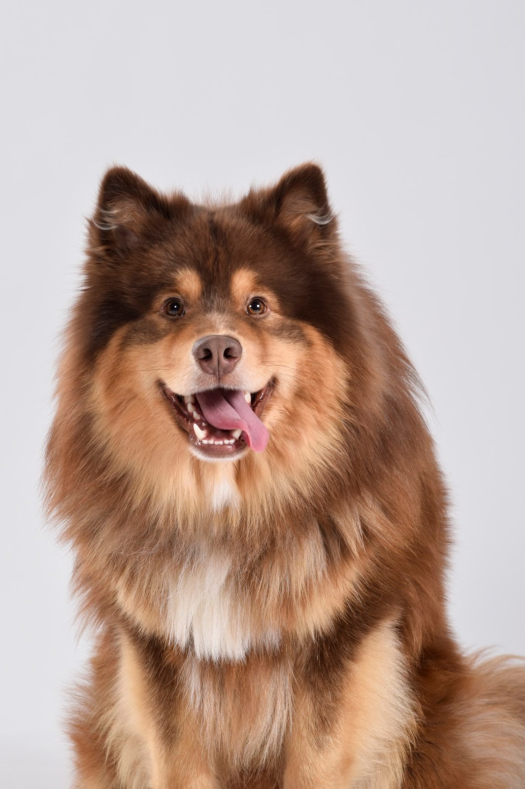 Luonnonlapsi: Huhuu?