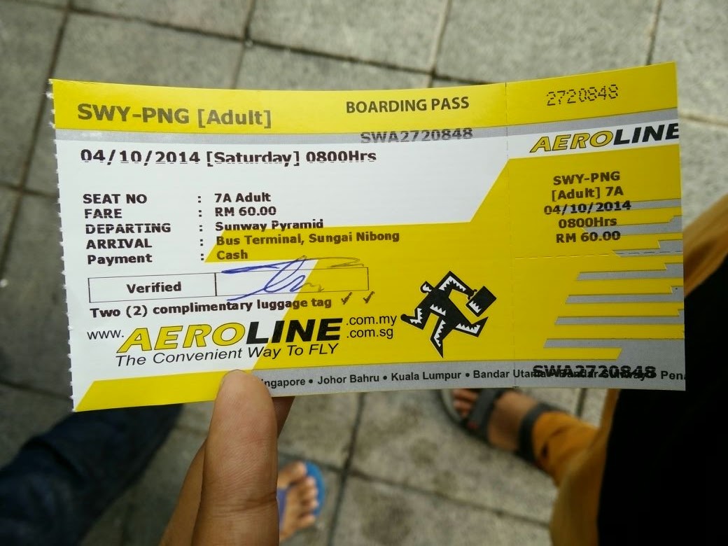The Simple: AEROLINE Review: The Convenient Way To Fly