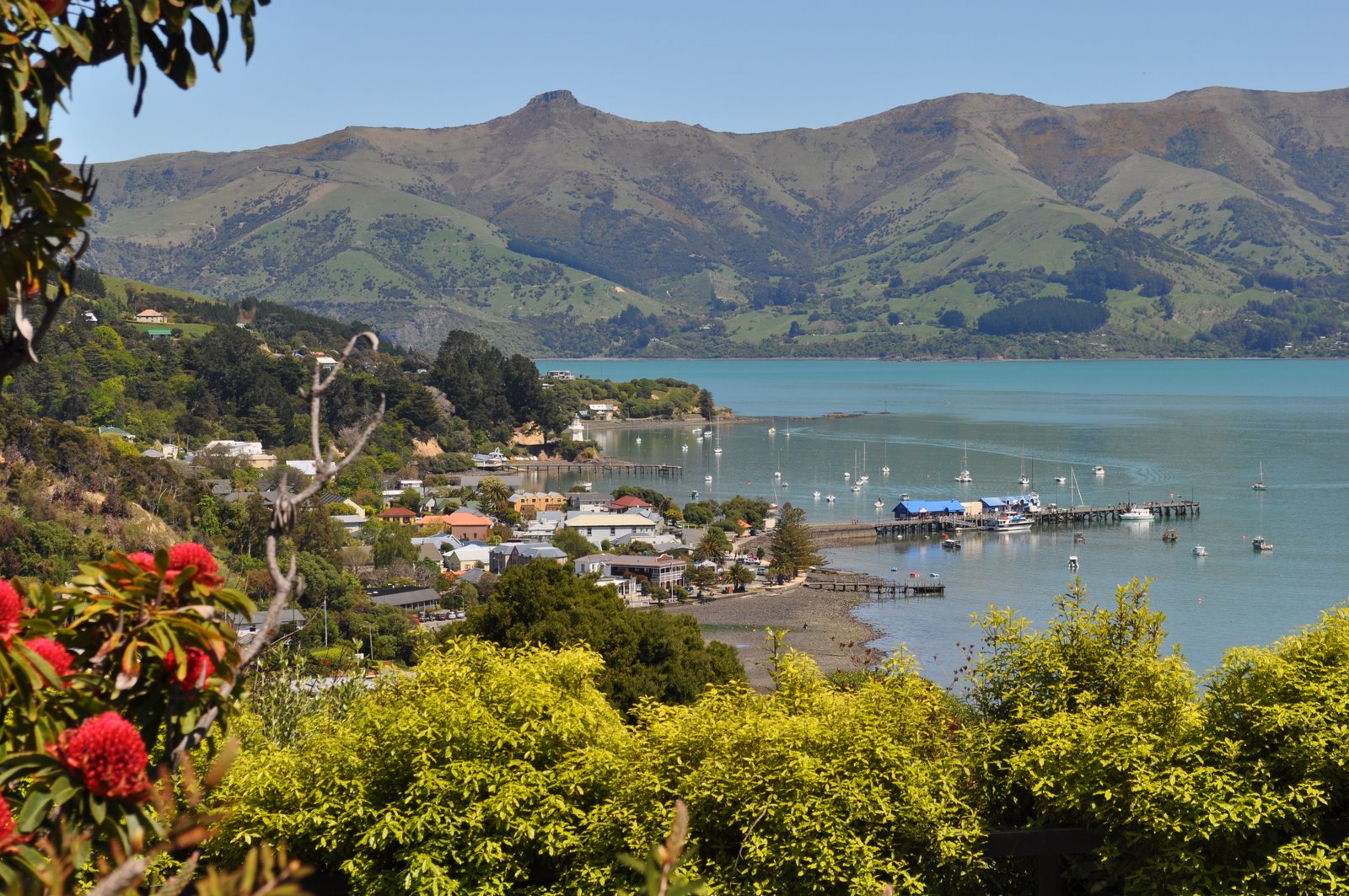 DUTCHCORNER: French Fest Akaroa