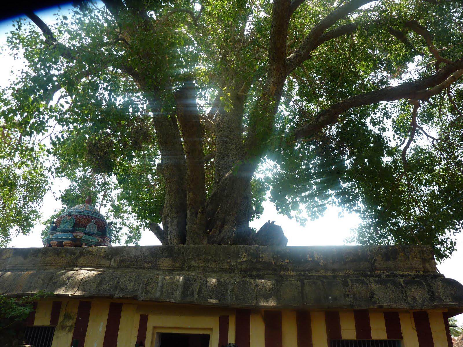 Temple Travelogues: SriMushnam Bhoovarahaswamy