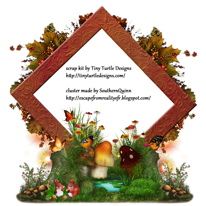 Escape From Reality Blog: "Shiela" Autumn FTU Clusters & Cluster Frames