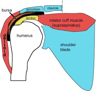 Informed Touch Treatments www.informedtouchtreatments.co.uk Info ...