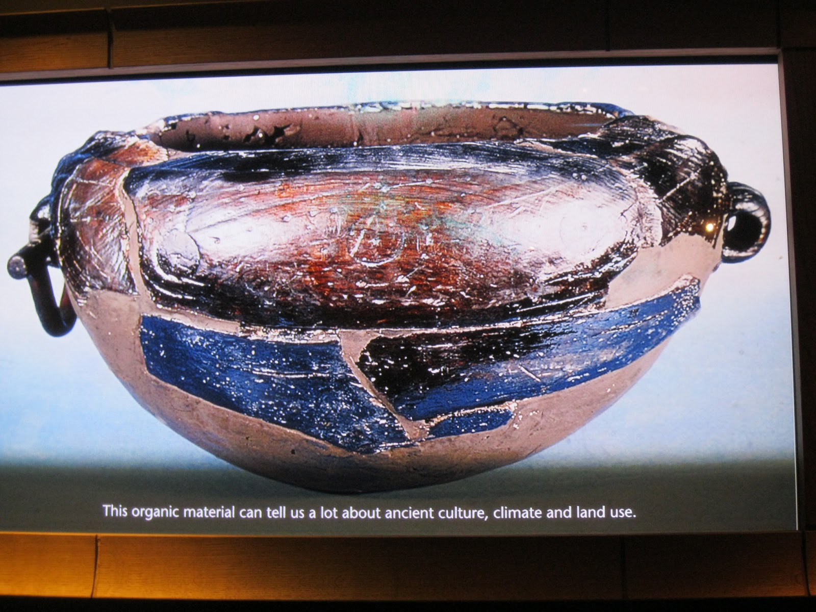 Josh's 10 Weeks in Ireland: Bog Bodies