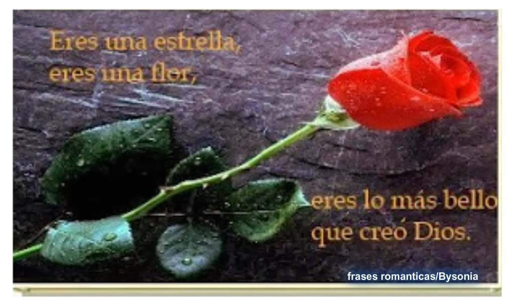 Frases Romanticas: eres una estrella