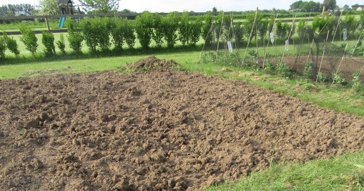 Trish Wish Living Well in Retirement: Dig or No-Dig gardening?