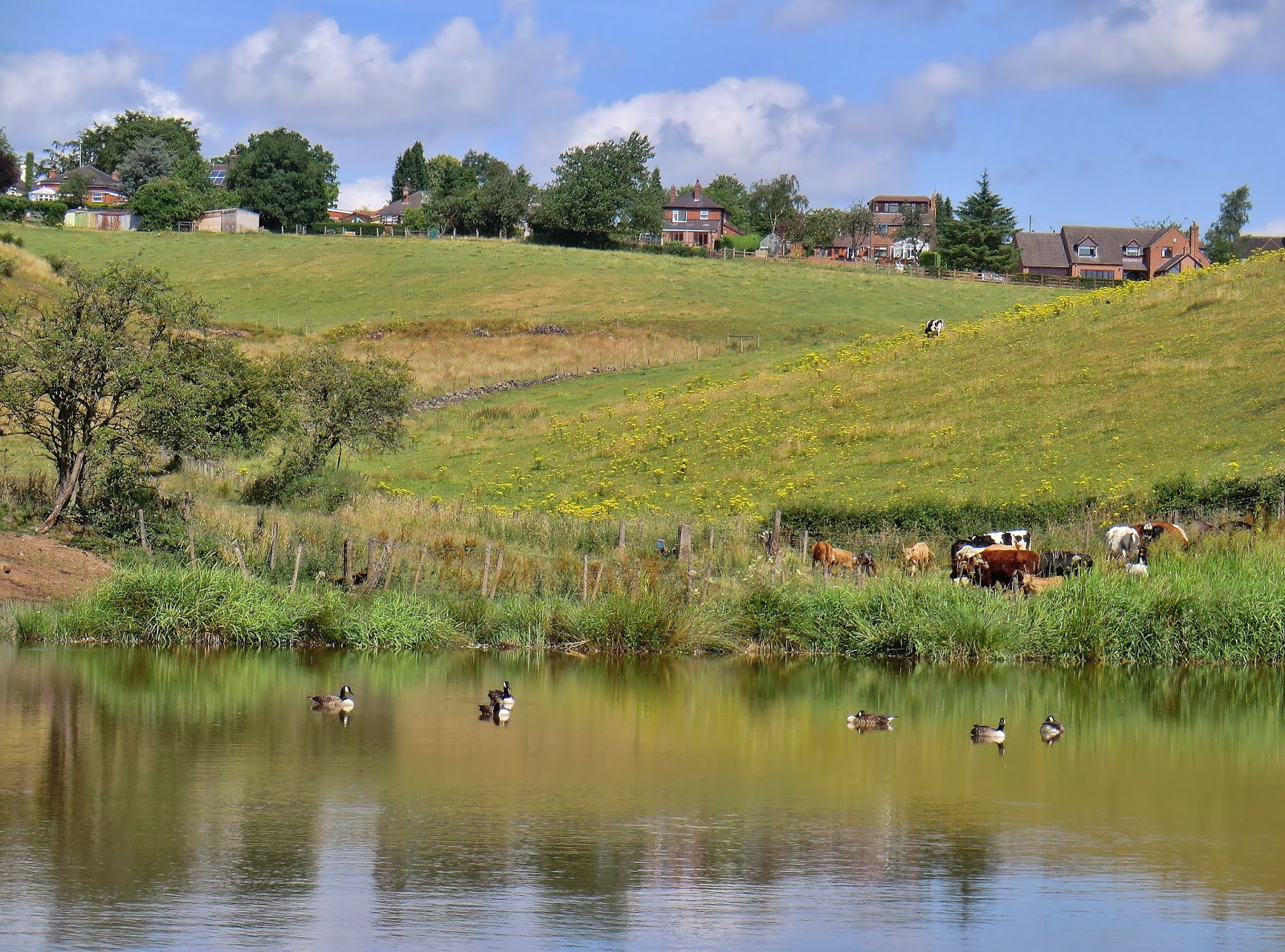 Coastwalker Unplugged: Postscripts from The Peak District (25) - Deep ...