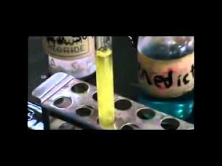 HAY'S TEST FOR BILE SALTS