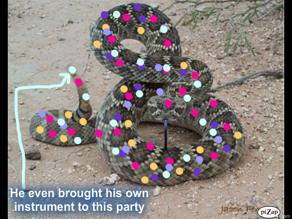 How To Gift Wrap A Snake