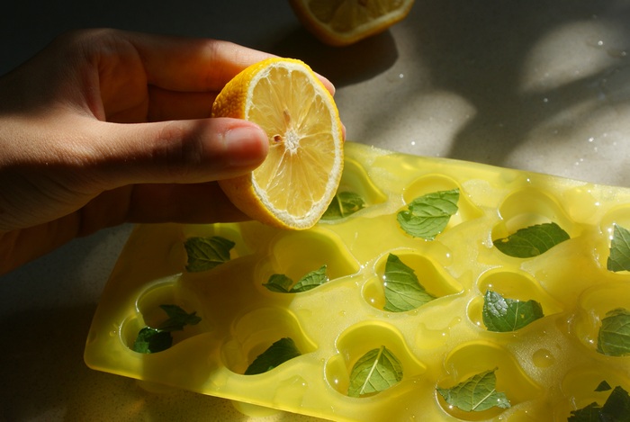 LEMON & MINT ICE CUBES | Francine's Place