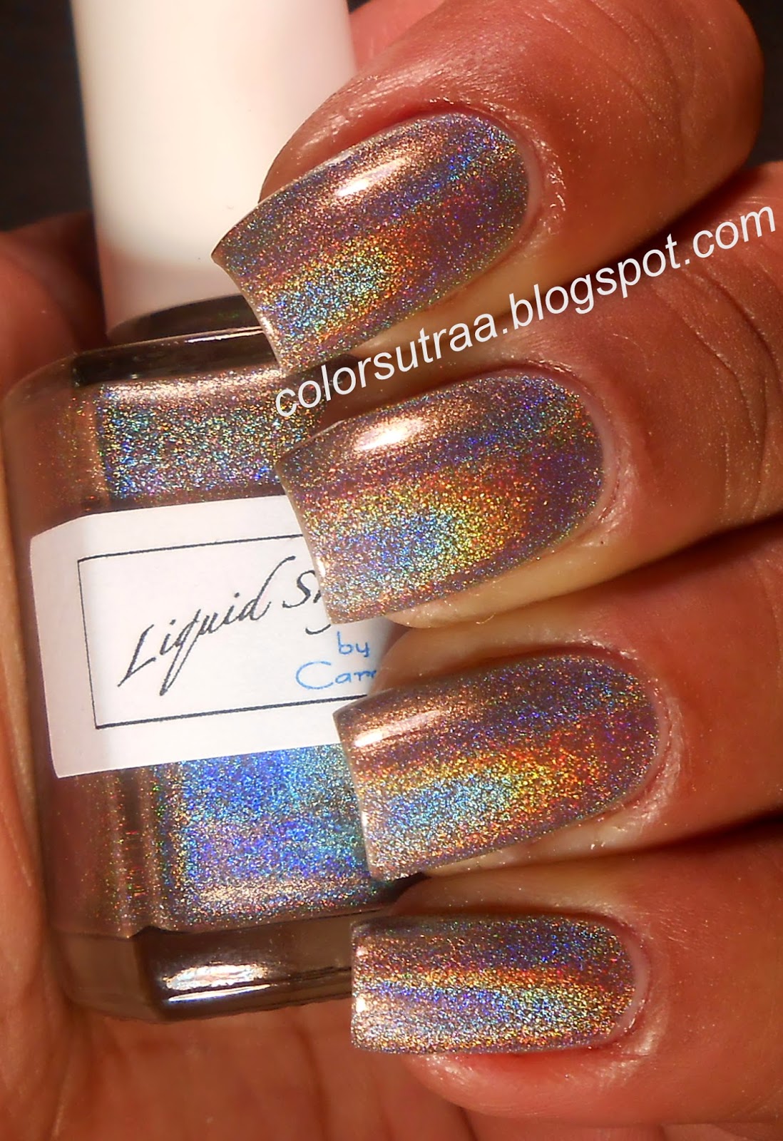 LIQUID SKY LACQUER Part III : Bri's Hella Holo, Walk on the Wild Side ...