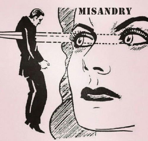 Does feminism promote misandry?