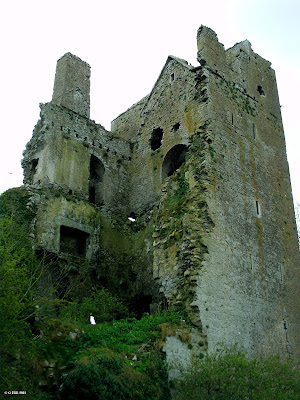 Ireland In Ruins: Cullahill Castle Co Laois