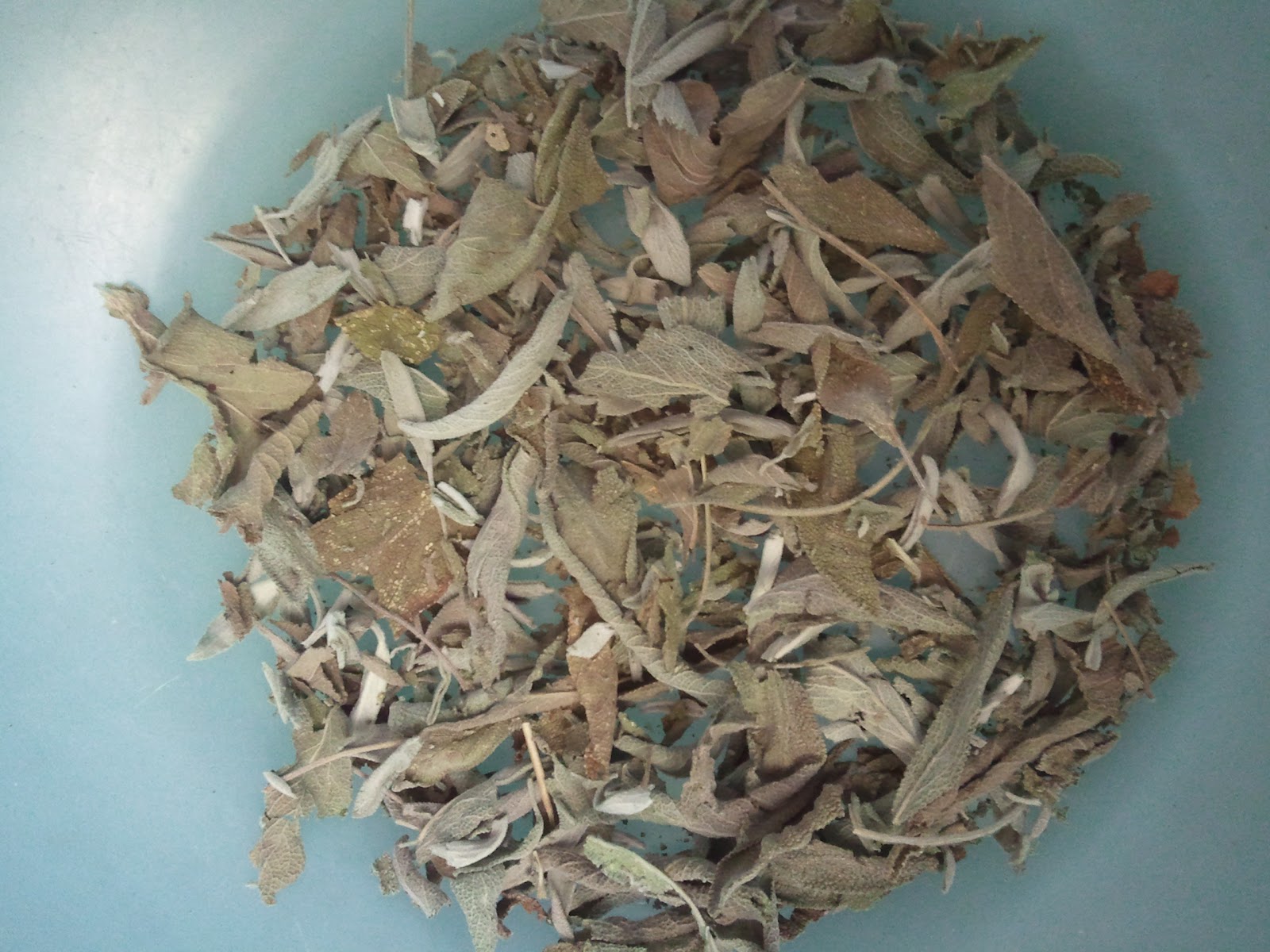 Apt Garden: Make Your Own Freshly Ground Sage in Minutes