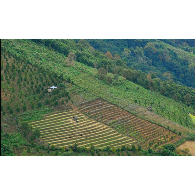 Naming Mattered: How was Zhemgang, Trong, Dangkhar and Pam Named.