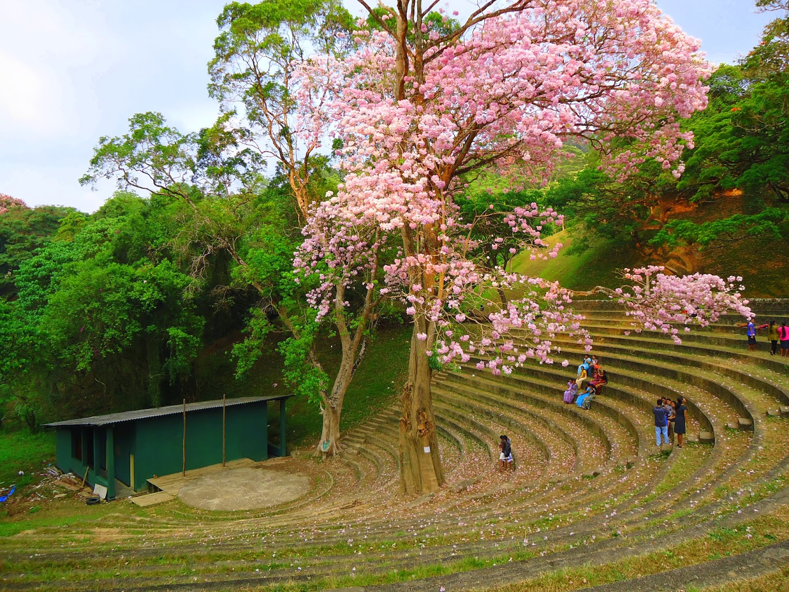 DIW Photography: University Of Peradeniya