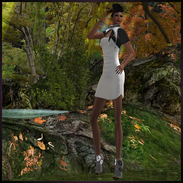 caryn Ashdene's Second Life Experience: My Final Final from Miss ...