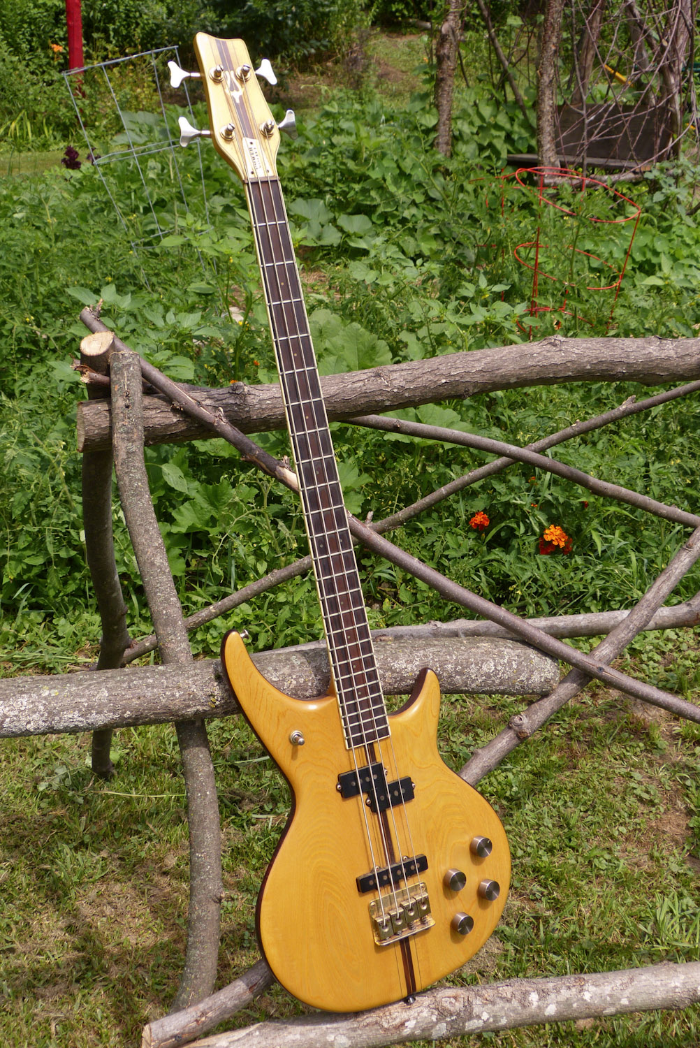 1981 Daion Mark XX-B Power Bass