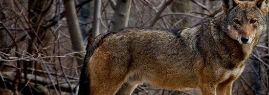 Back On The Porch: Looking out the back door...