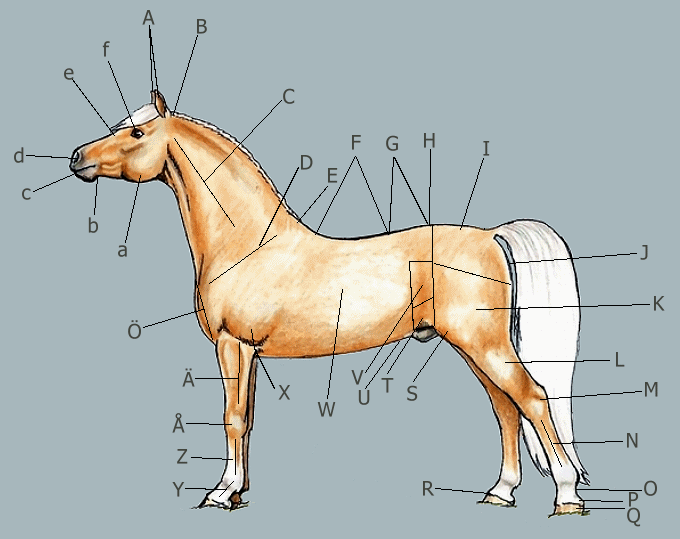 Pustan Prinsessa: Havaintoja auringosta ja nälkäkuopasta
