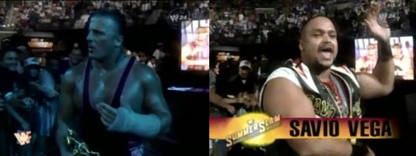 PPVs Del Recuerdo N°6: WWF Summerslam 1996 - OTTR Wrestling