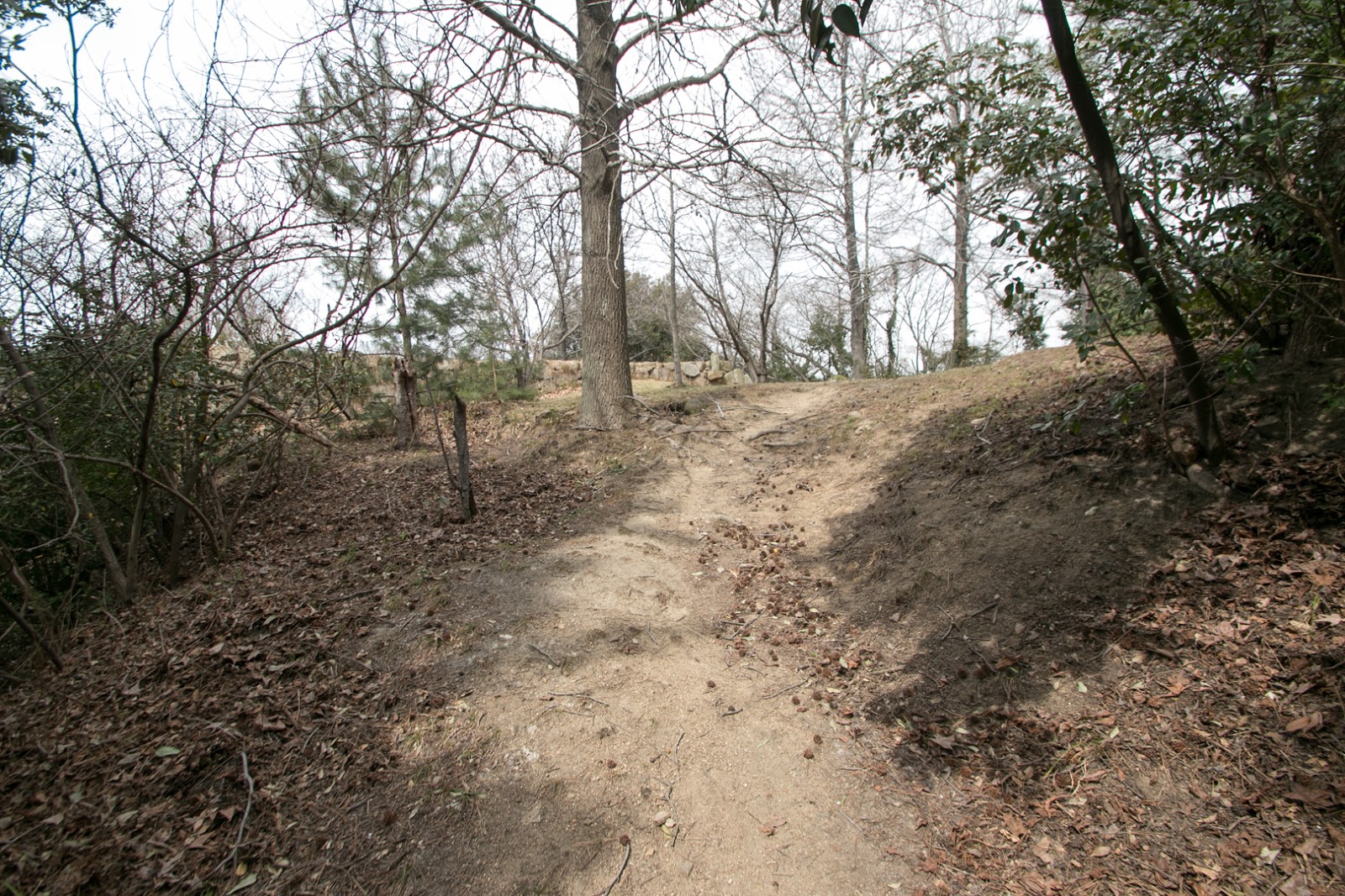 Shimotsui Castle -Castle looking down straight and bridge- | Japan ...