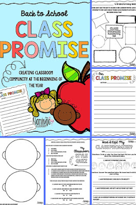 The Flamingo Classroom: Creating a Classroom Promise