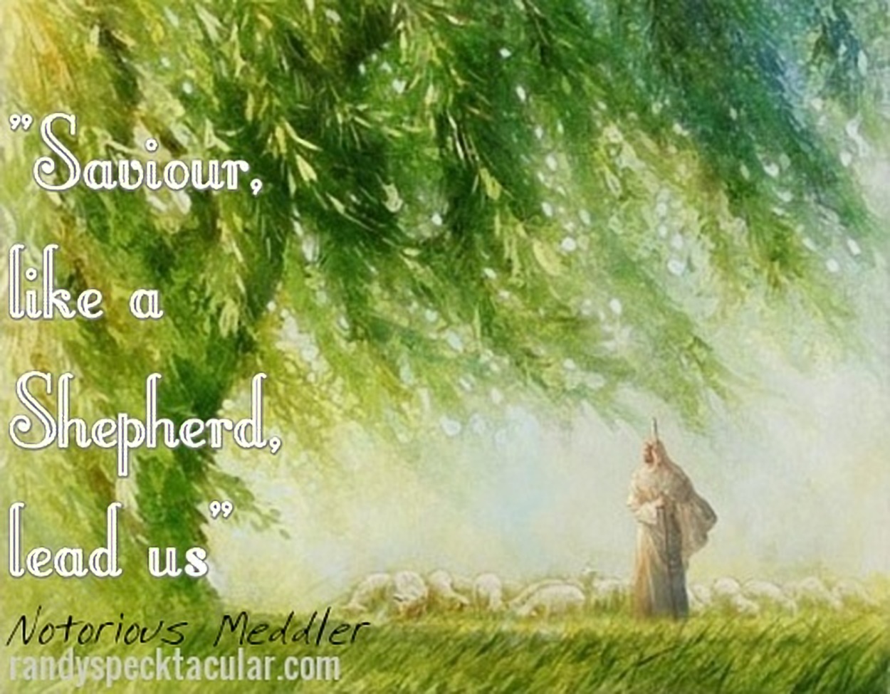 The Notorious Meddler: "Saviour, Like a Shepherd Lead Us"