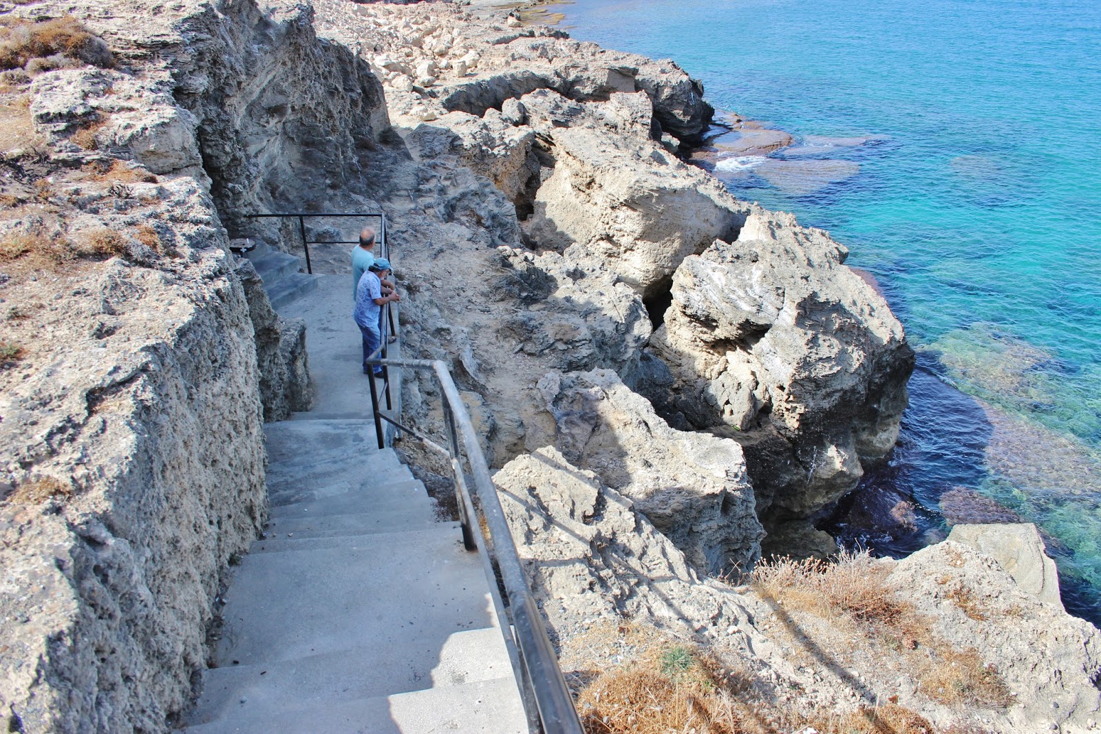 Biodiversity of Cyprus by NGO Protection of the Natural Heritage and ...