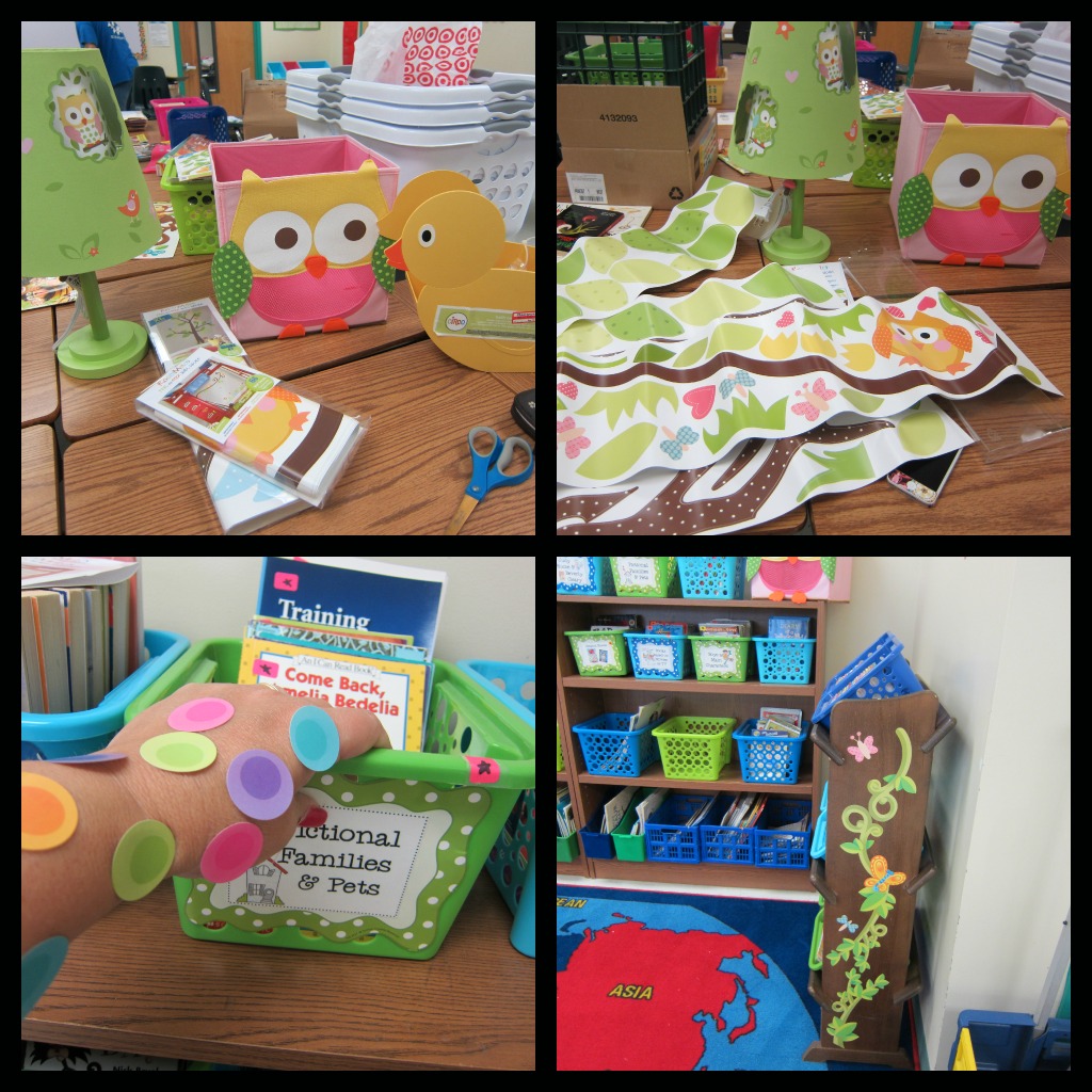 Classroom Library Pix! - Sunny Days in Second Grade