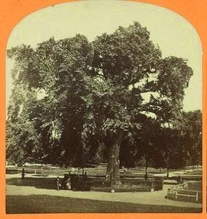 NEW ENGLAND FOLKLORE: May 2015