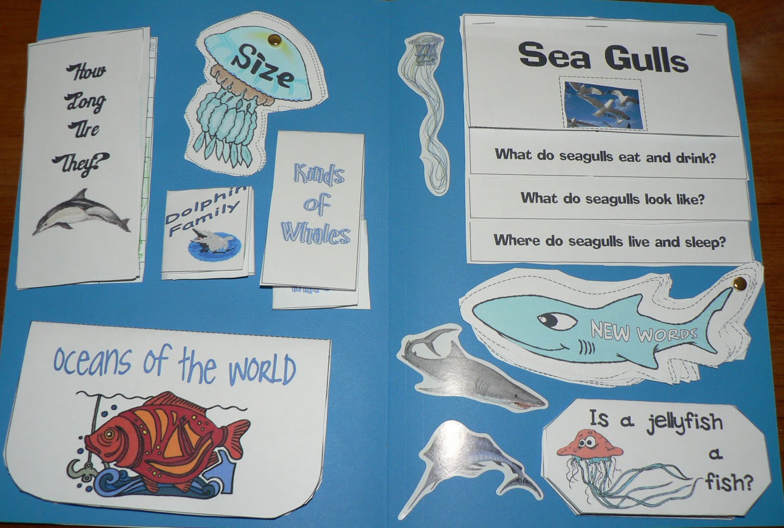 Walking by the Way: ECC Weeks 27-28 More From Japan & Ocean Studies