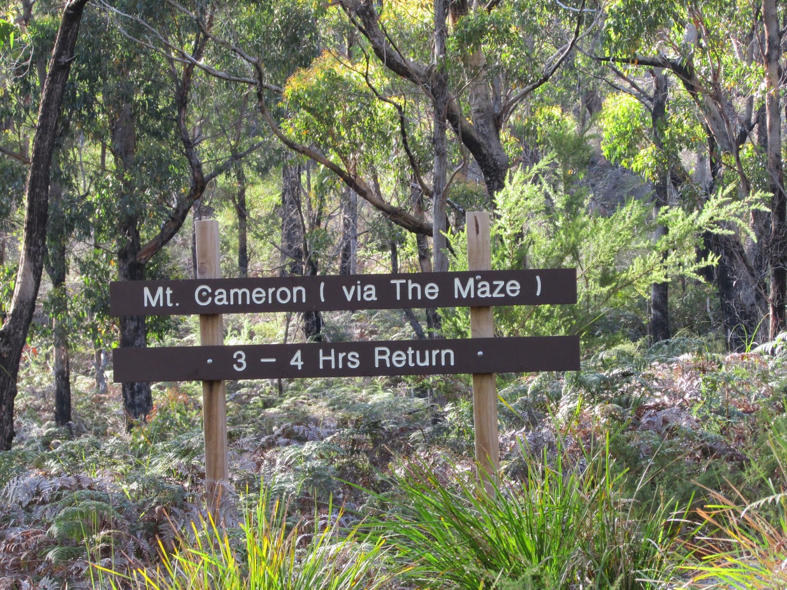 Mount Cameron - Northern Tasmania | Hiking South East Tasmania