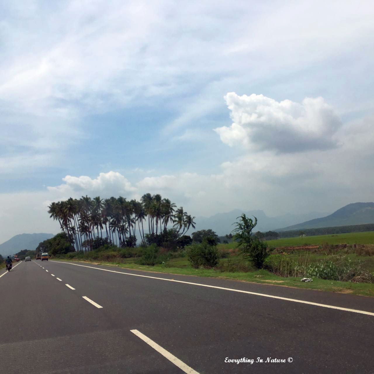 Everything In Nature: A deep sensitivity to nature